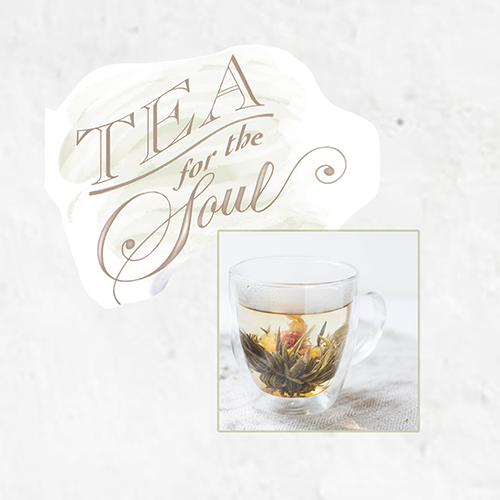 Groups - First Miami Presbyterian Church